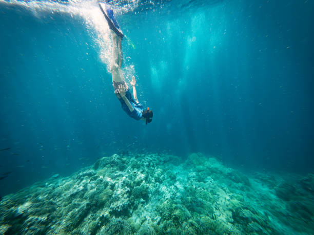 Dive into the Weird: 4 of the Quirkiest Dive Sites Around the World