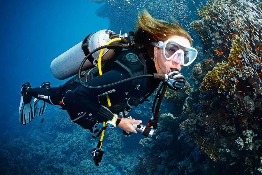 The Essential Guide to Wetsuit Materials and Their Functions in Scuba ...