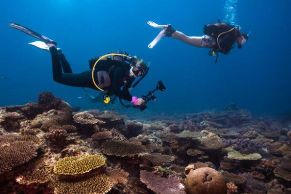 Mastering the Art of Finning: 4 Essential Finning Techniques for Scuba ...