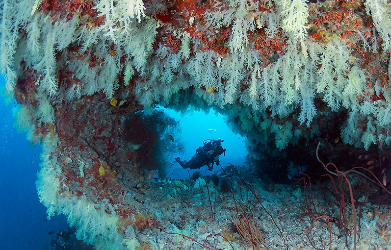 Scuba Diving in the Indian Ocean: A Guide to the Best Spots
