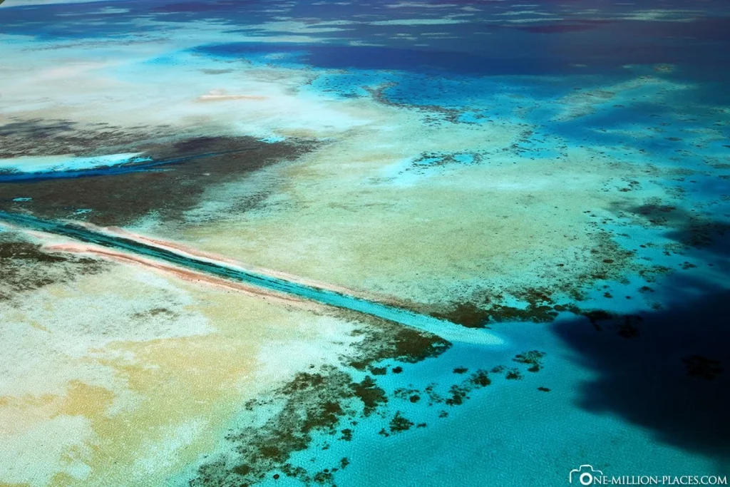 Island Hopping: Best Scuba Diving Spots in the Pacific