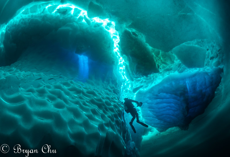 Scuba Diving in the Arctic and Antarctic: A Travel Guide