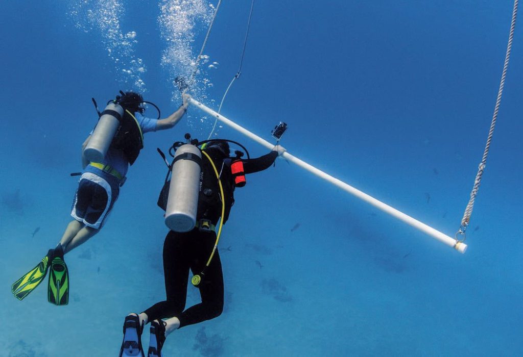 Dive Emergency Action Plan (EAP): How to Create and Execute a Plan for ...