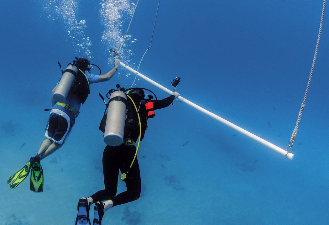 Dive Emergency Action Plan (EAP): How to Create and Execute a Plan for ...
