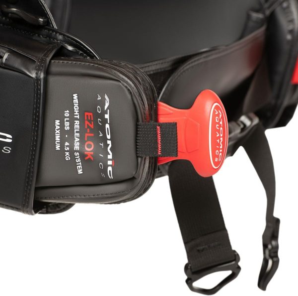 Integrated Weight Systems in BCDs: Optimizing Trim and Balance
