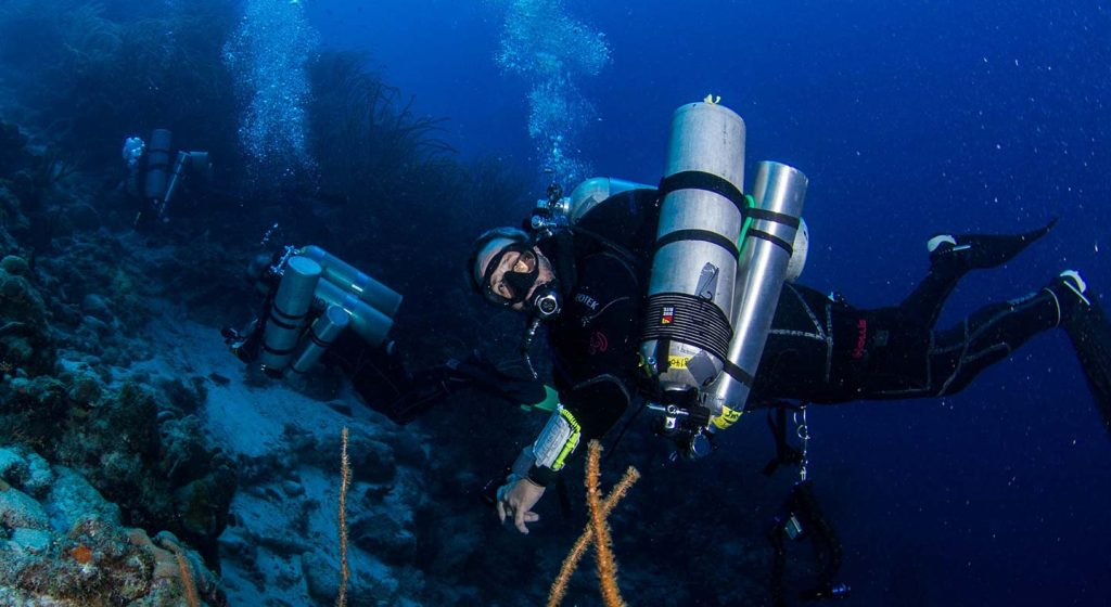 Helmet Mounted Displays (HMDs) for Technical Diving: Data Visualization ...
