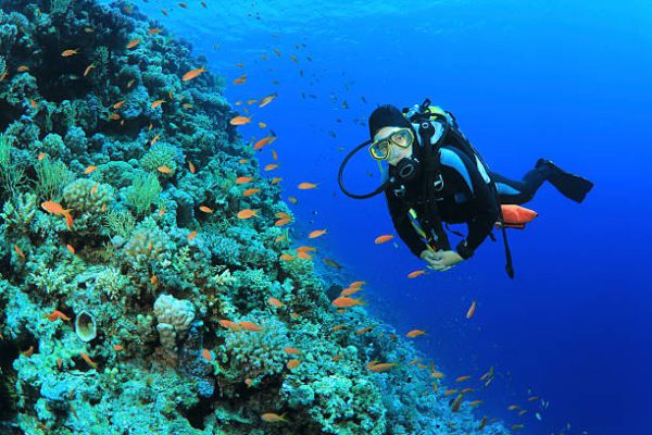 From Air to Depth: Managing Breathing While Scuba Diving