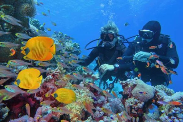 From Air to Depth: Managing Breathing While Scuba Diving