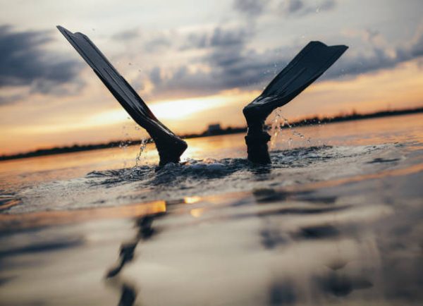 Short vs. Long Fins: The Fin Debate Every Diver Faces