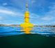 The Diver’s Guide to Surface Marker Buoys: When and What to Use